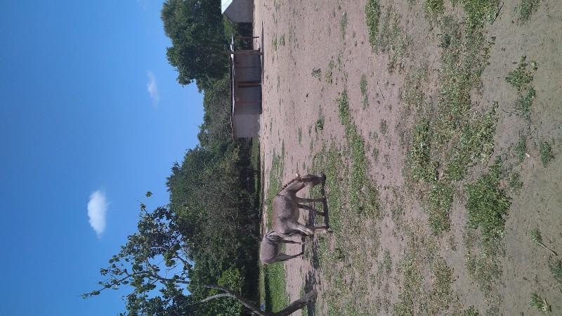 Buy Our nature by Mathias Bode on Selar