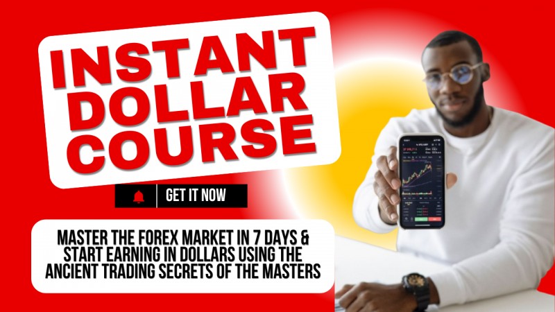 Buy Instant Dollar Course by Rain Speech International on Selar