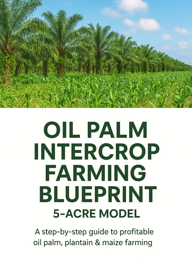 Buy Oil Palm Intercrop Farming Blueprint (5-Acre Model) — A Step-by ...