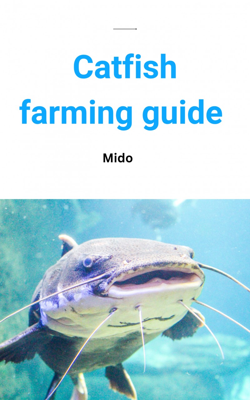 Buy Fish farming guide At Home by Mido Herny on Selar