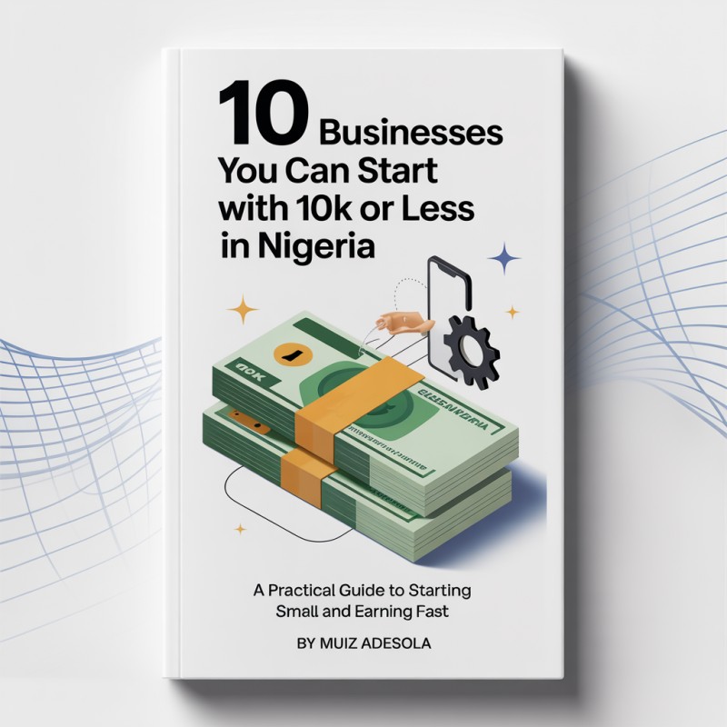 Buy 10 Businesses You Can Start With 10k or Less in Nigeria by Muiz Adesola on Selar