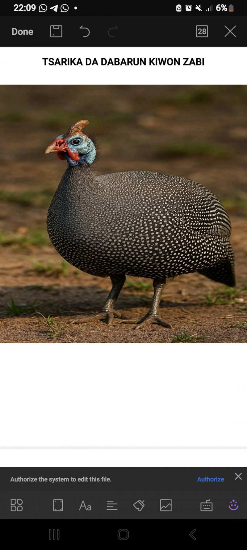 Buy TSARI DA DABARUN KIWON ZABI BELGIUM by nasir Muhammad on Selar