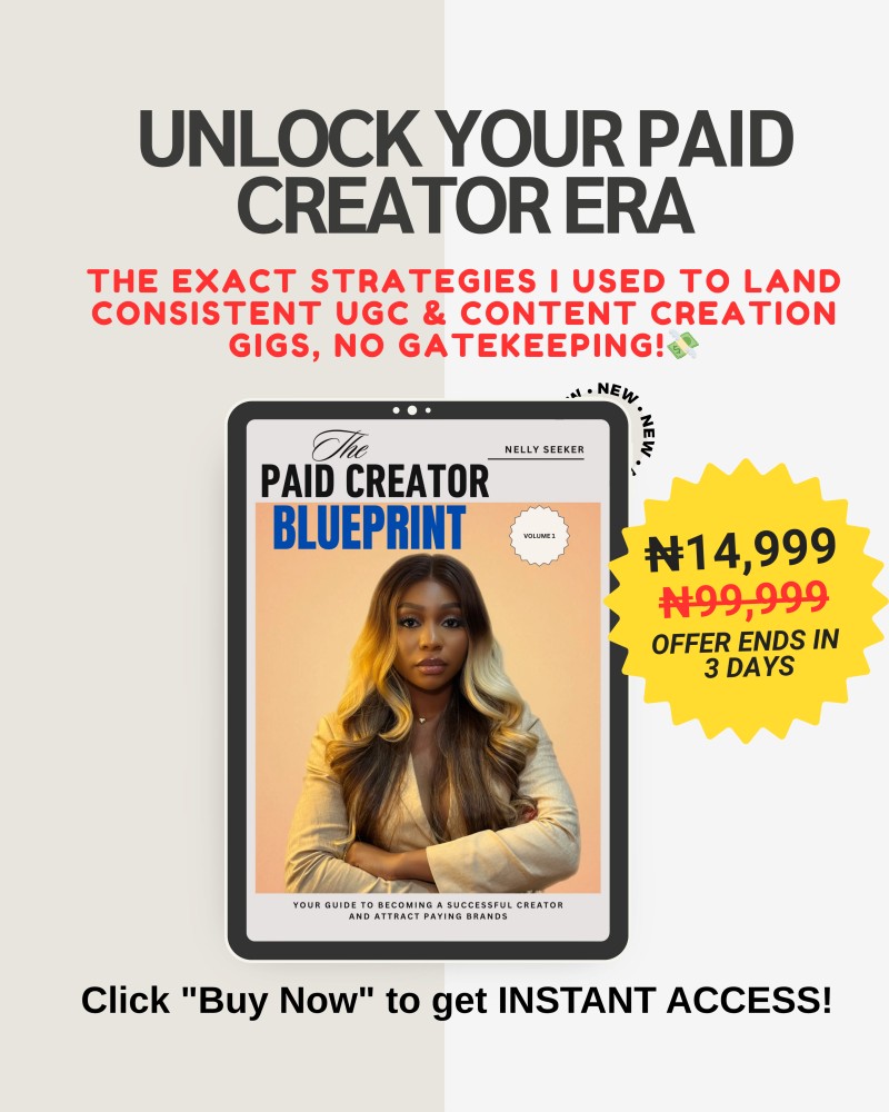 Buy THE PAID CREATOR BLUEPRINT by Nelly Seeker on Selar