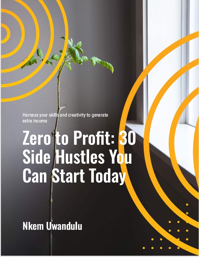 Buy Zero to Profit: 30 Side Hustles You Can Start Today by Nkem Uwandulu on Selar