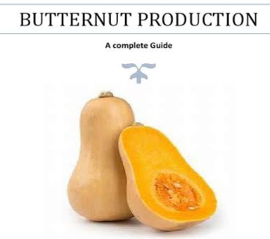 Buy BUTTERNUT FARMING BOOK by Nzambani Agrifarms on Selar