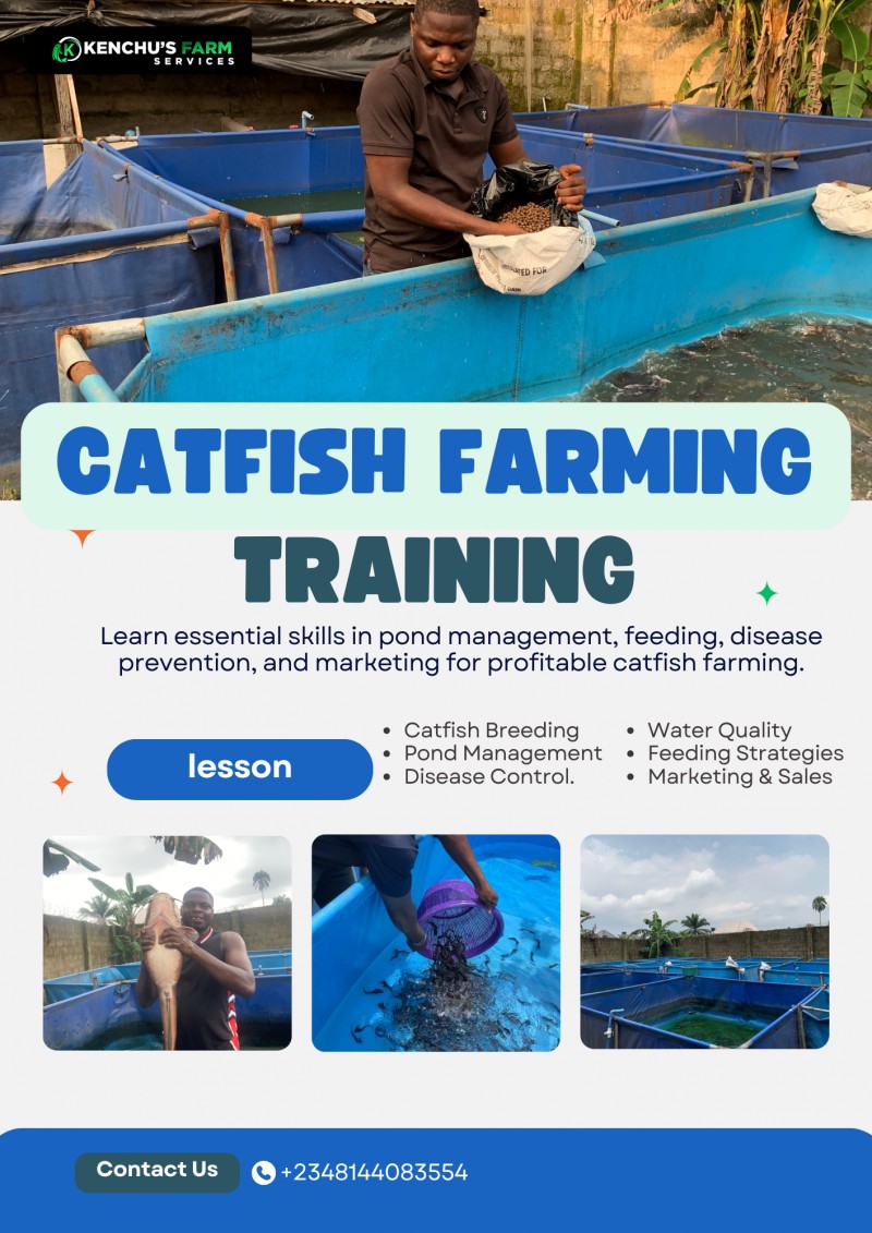 Buy Catfish Farm Management Training by Odoemenam Kenneth Chukwuma on Selar