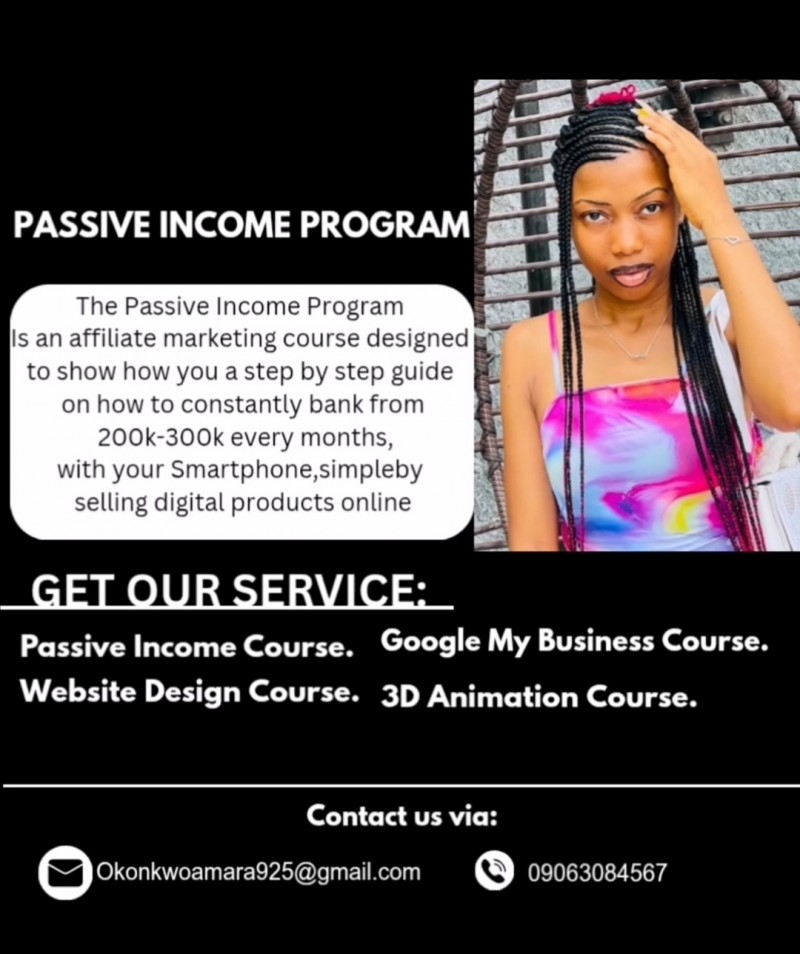 Preorder Passive Income Program by Okonkwo Amarachi on Selar