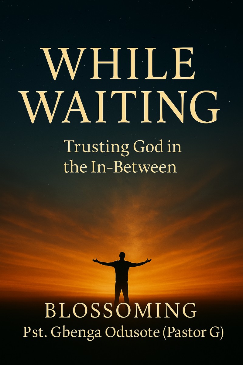 Buy WHILE WAITING - Trusting God in the In-Between by Olugbenga Odusote ...