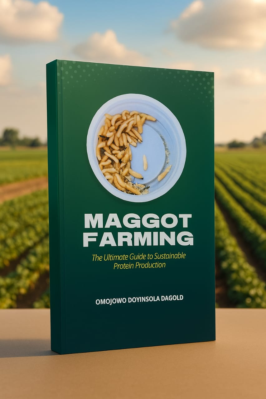 Buy MAGGOT FARMING: THE ULTIMATE GUIDE TO SUSTAINABLE PROTEIN ...