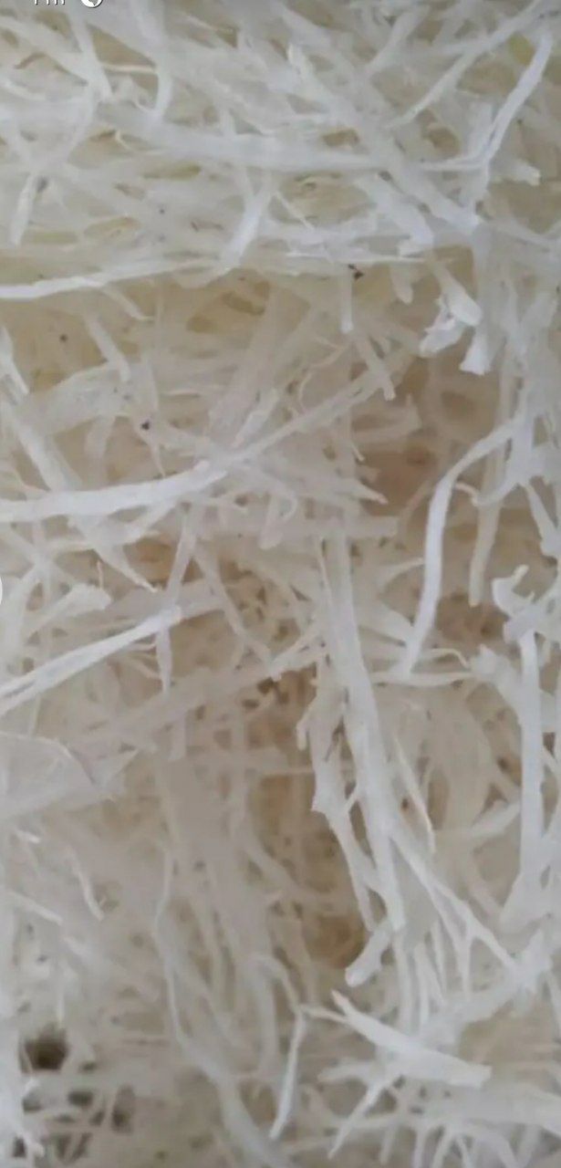 Buy Dried Cassava Shreds for African Salad by onyeka ezeh on Selar