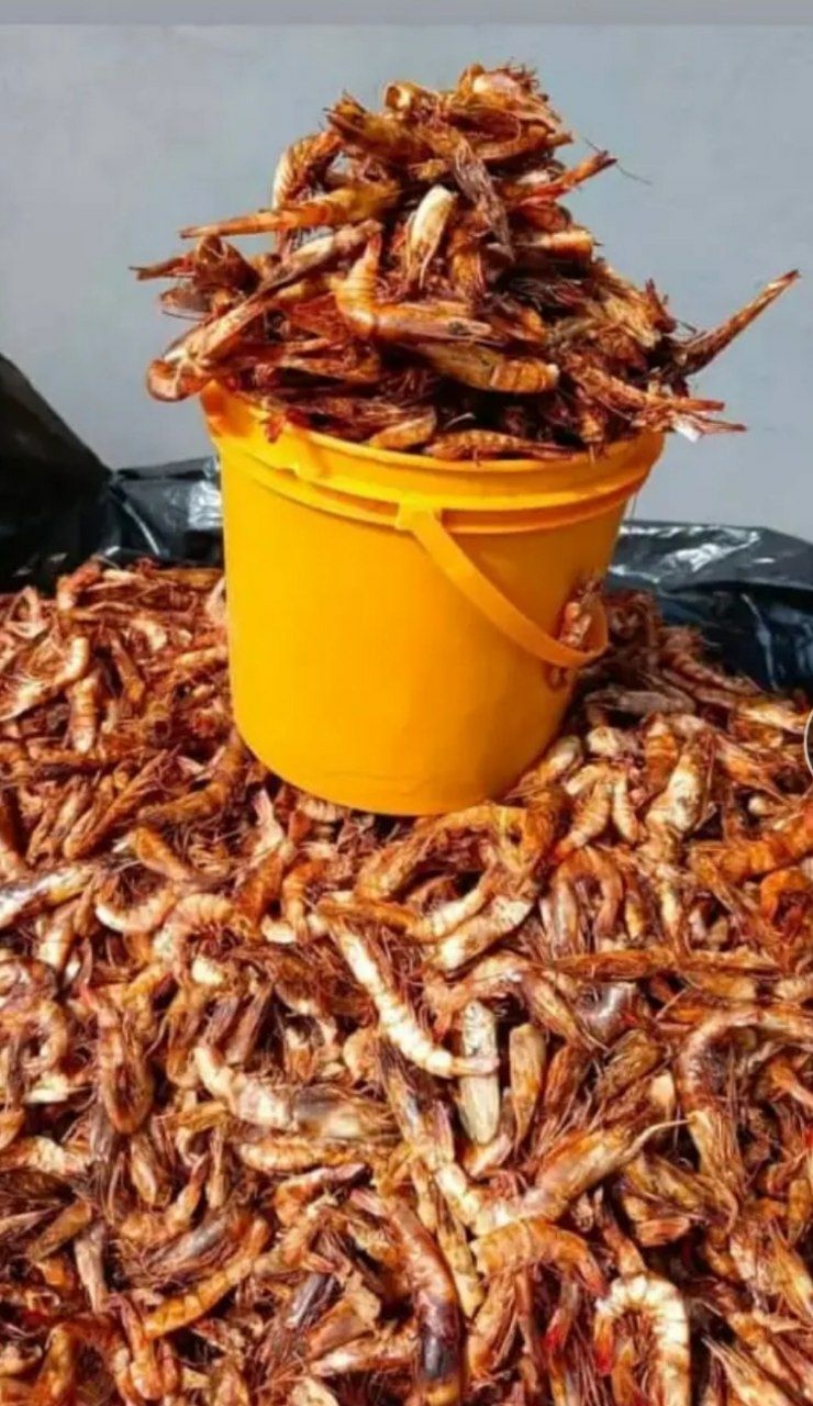 Buy Premium Dried Crayfish by onyeka ezeh on Selar