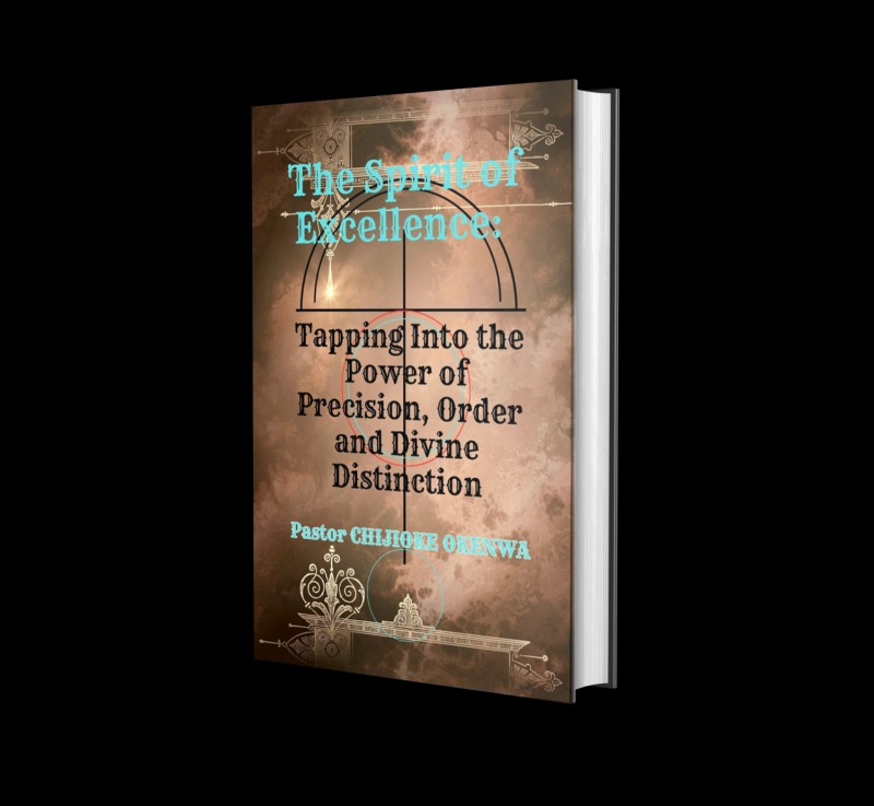 Buy THE SPIRIT OF EXCELLENCE: TAPPING INTO THE POWER OF PRECISION ...