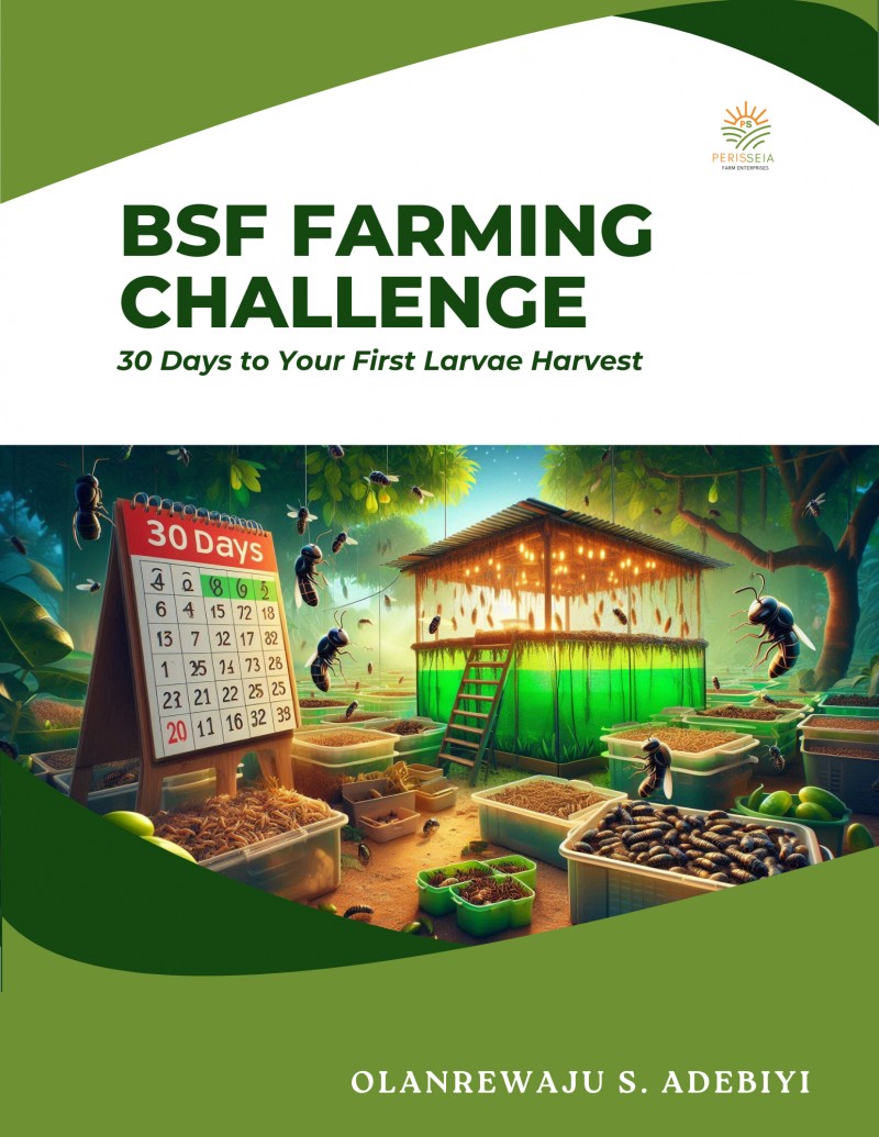 Buy BSF Farming Challenge: 30 Days to Your First Larvae Harvest by Perisseia Farm Enerprises on ...