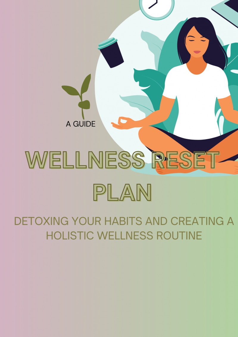 Buy WELLNESS RESET PLAN by Philomina Cletus-Ogbu on Selar