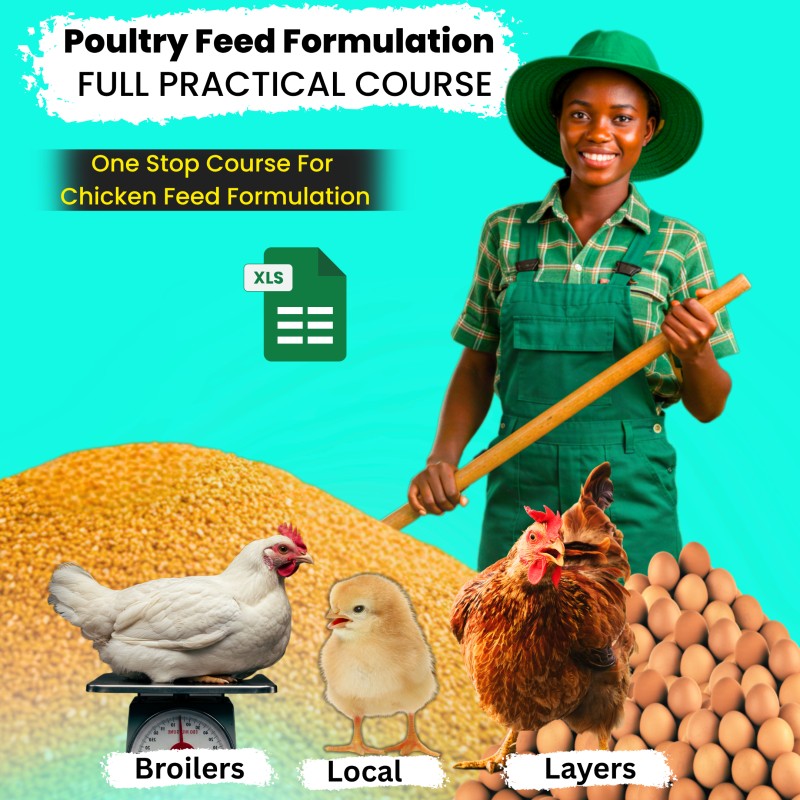 Buy POULTRY FEED FORMULATION MASTERCLASS by Agribusiness Insider on Selar