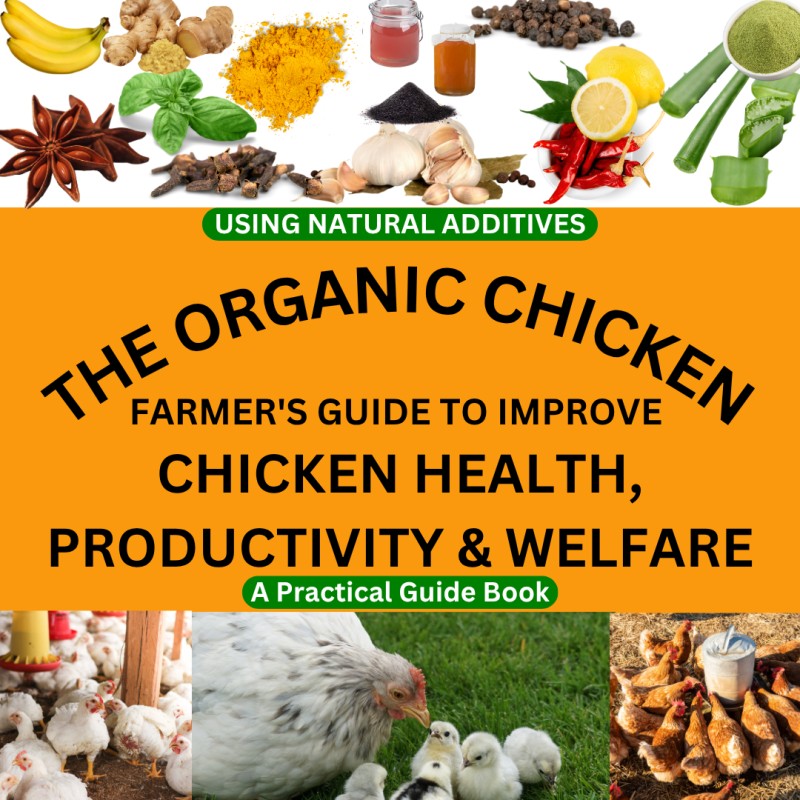 Buy THE ORGANIC CHICKEN FARMER'S GUIDE TO IMPROVE CHICKEN HEALTH ...