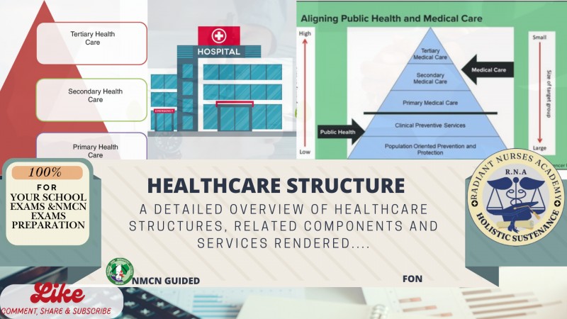 Buy HEALTHCARE STRUCTURE , TYPES , CORE COMPONENT AND SERVICES by ...