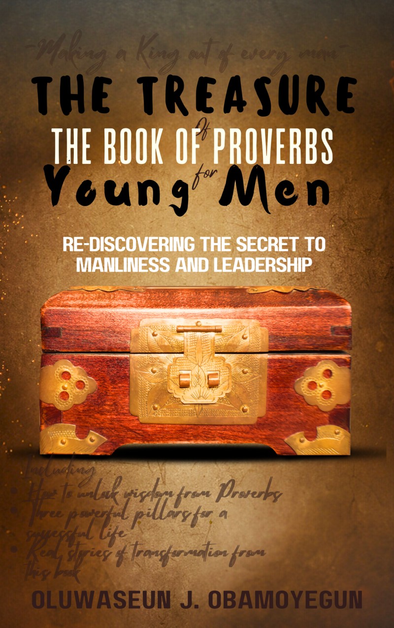 Buy The Treasure of the Book of Proverbs for Young Men by Obamoyegun ...