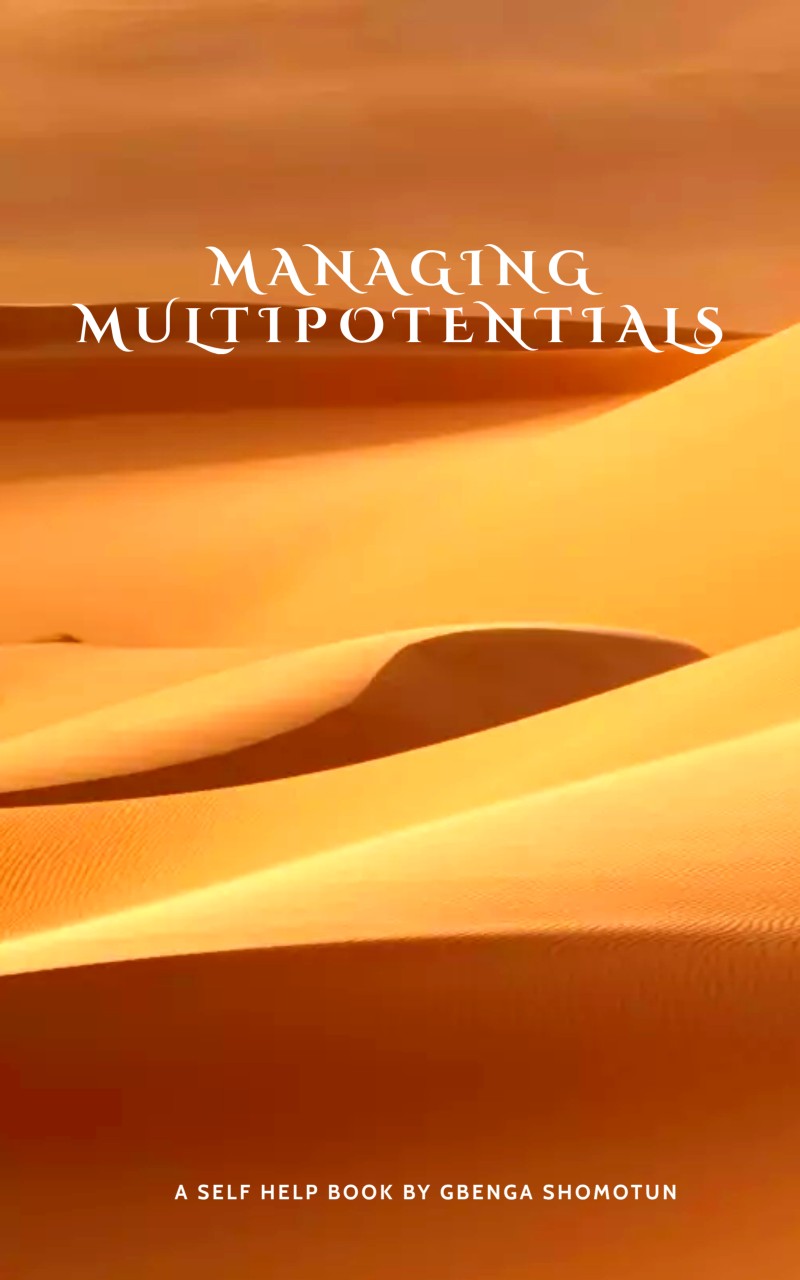 Buy MULTIPOTENTIALITY MANAGEMENT by Shomotun Gbenga Ayodeji on Selar