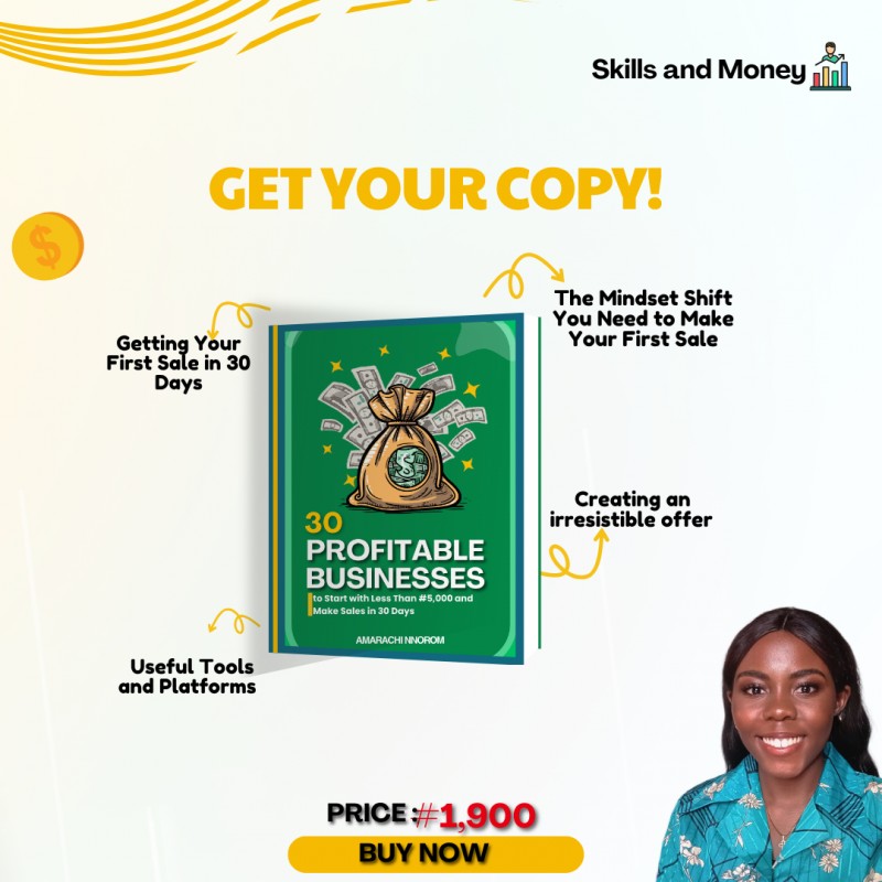 Buy 30 Profitable Business Ideas You Can Start With Less Than #5,000 by ...