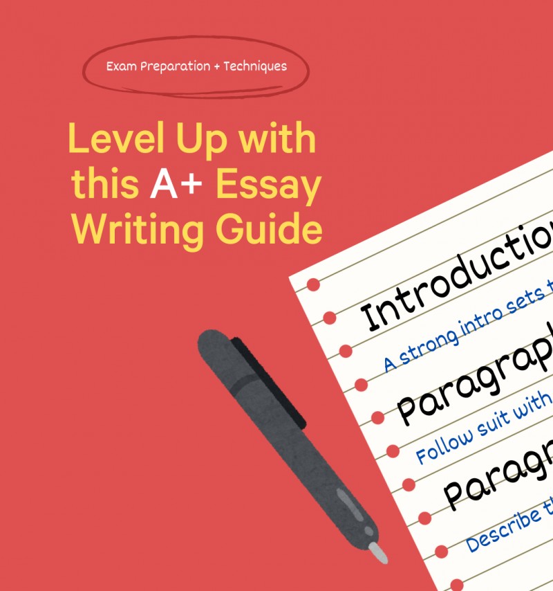 Buy Exam Essay Writing 101 by Educatrix Resources Ltd on Selar