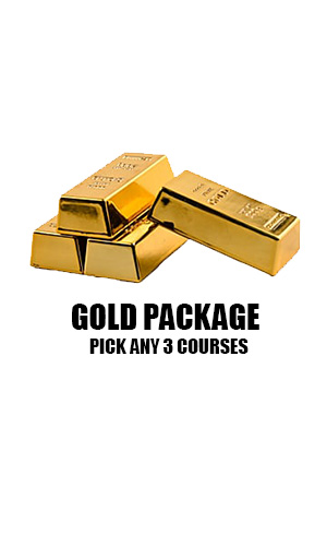 Buy GOLD PACKAGE.(YOU'RE TO PICK ANY THREE COURSES FROM THE ...
