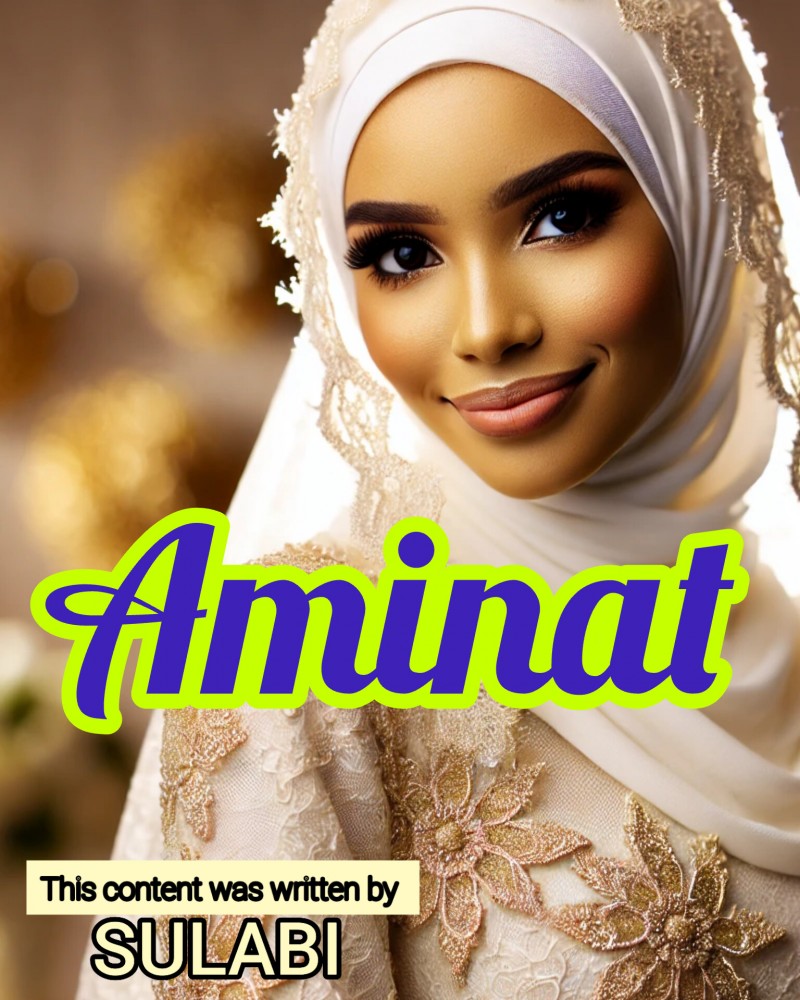 Buy 'Aminat' eNovel by Sulabi on Selar