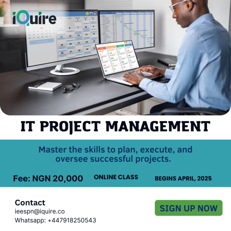Get IT Project Management Training by Team Iquire on Selar
