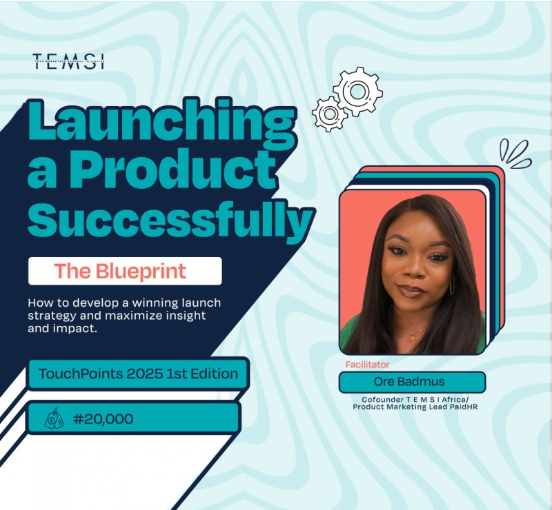 Buy Launching a Product Successfully by TEMSI Africa on Selar