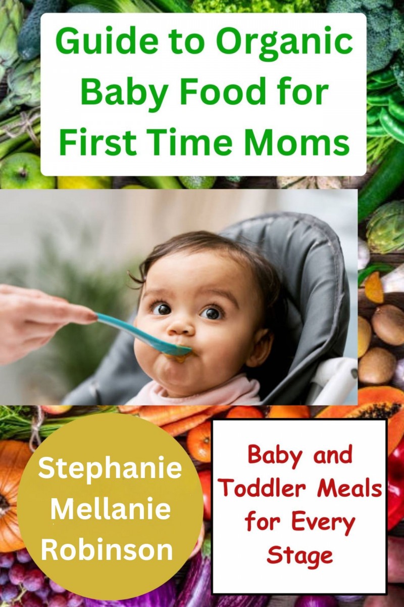 Buy GUIDE TO ORGANIC BABY FOOD FOR FIRST TIME MOMS Baby and Toddler ...