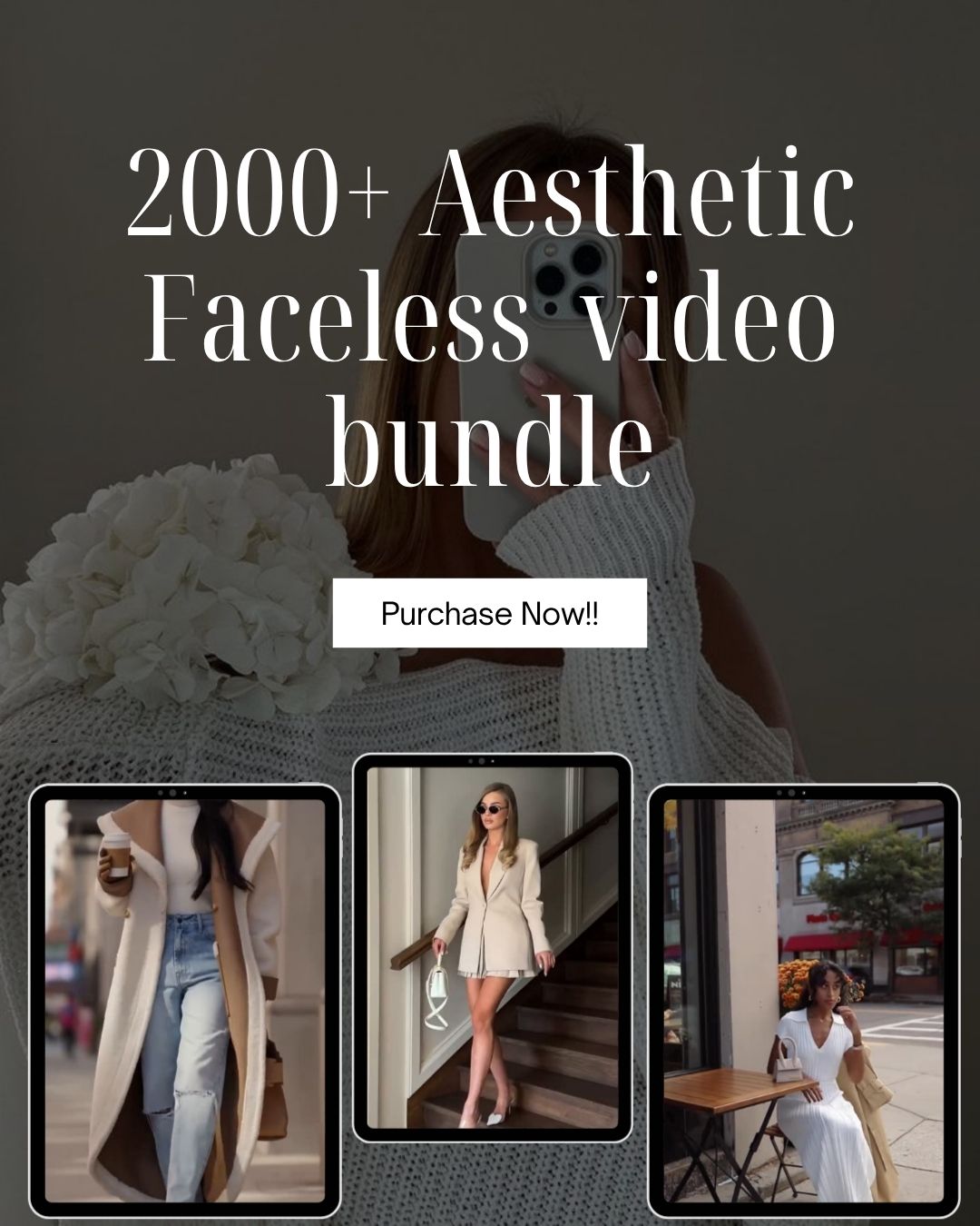 Buy 2000+ AESTHETIC FACELESS VIDEO BUNDLE by Victory Mmesoma Chukwuma ...