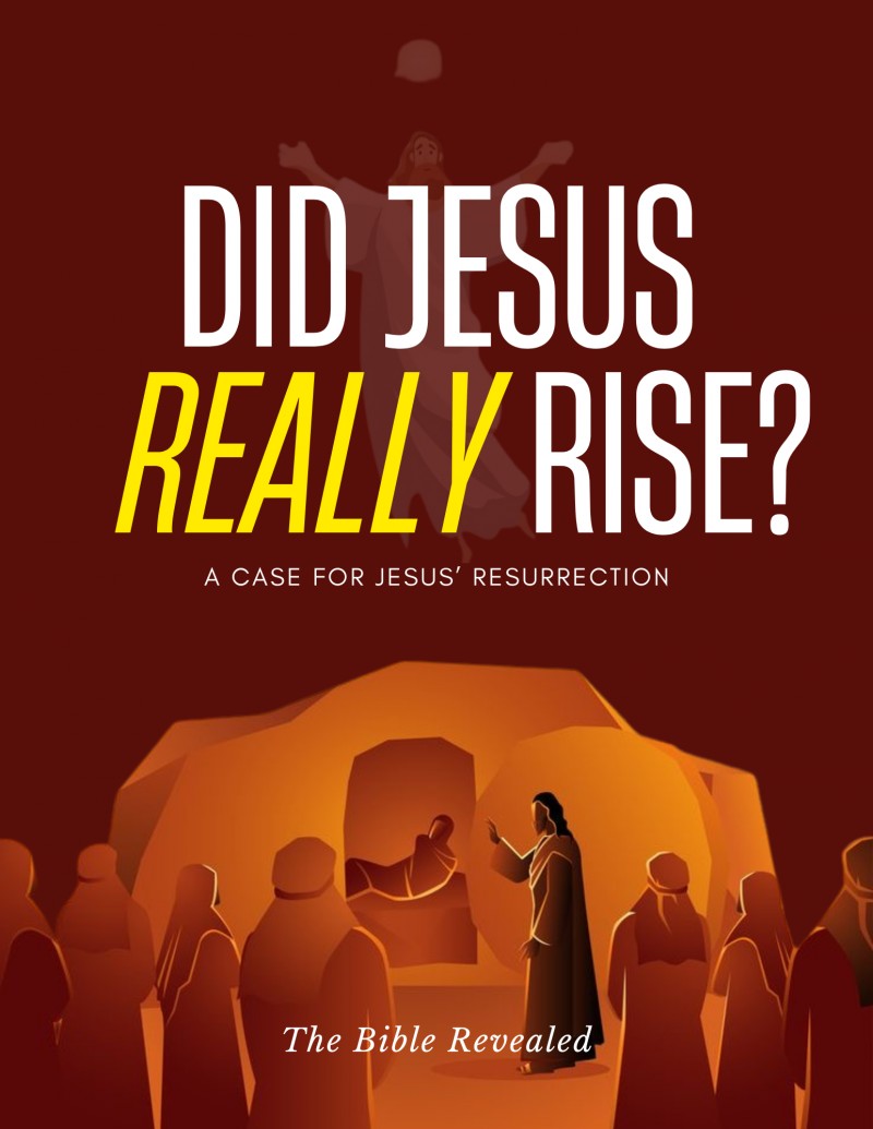 Buy Did Jesus Really Rise? by The Bible Revealed on Selar