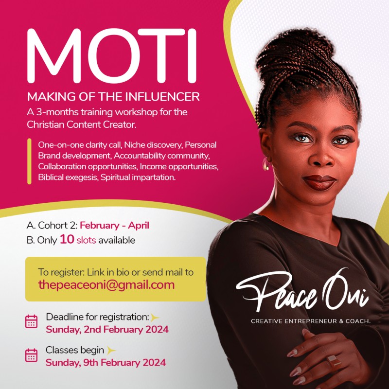 Buy The Making of The Influencer by Peace Oni on Selar