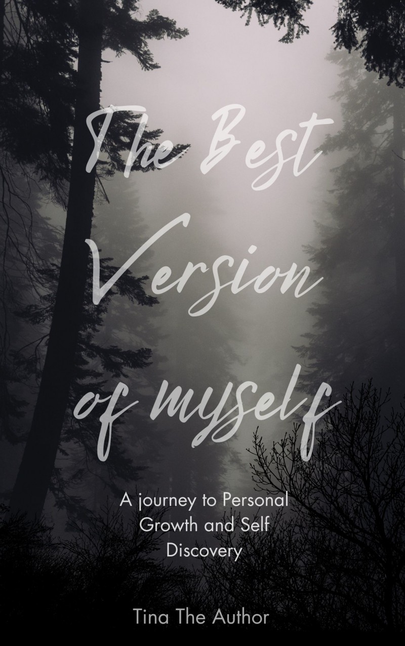 Buy The Best Version Of Myself by Tinashe Sabau on Selar