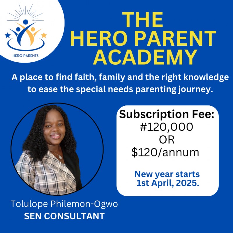 Buy THE HERO PARENT ACADEMY by Tolulope Philemon on Selar