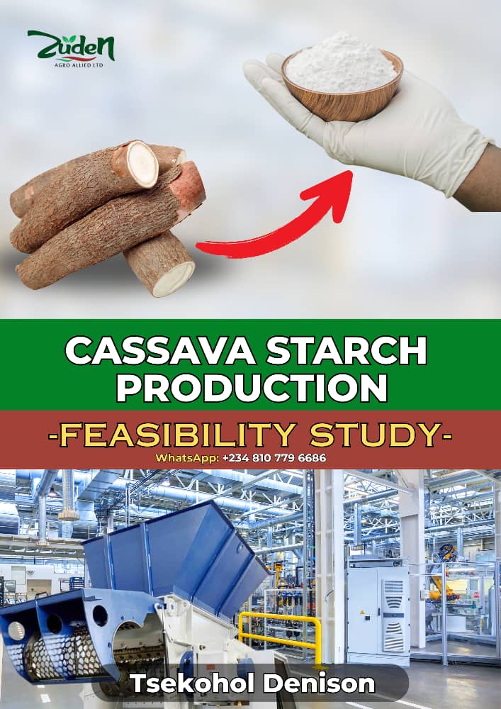 Buy Cassava Starch Production Feasibility Study by Tsekohol Denen on Selar