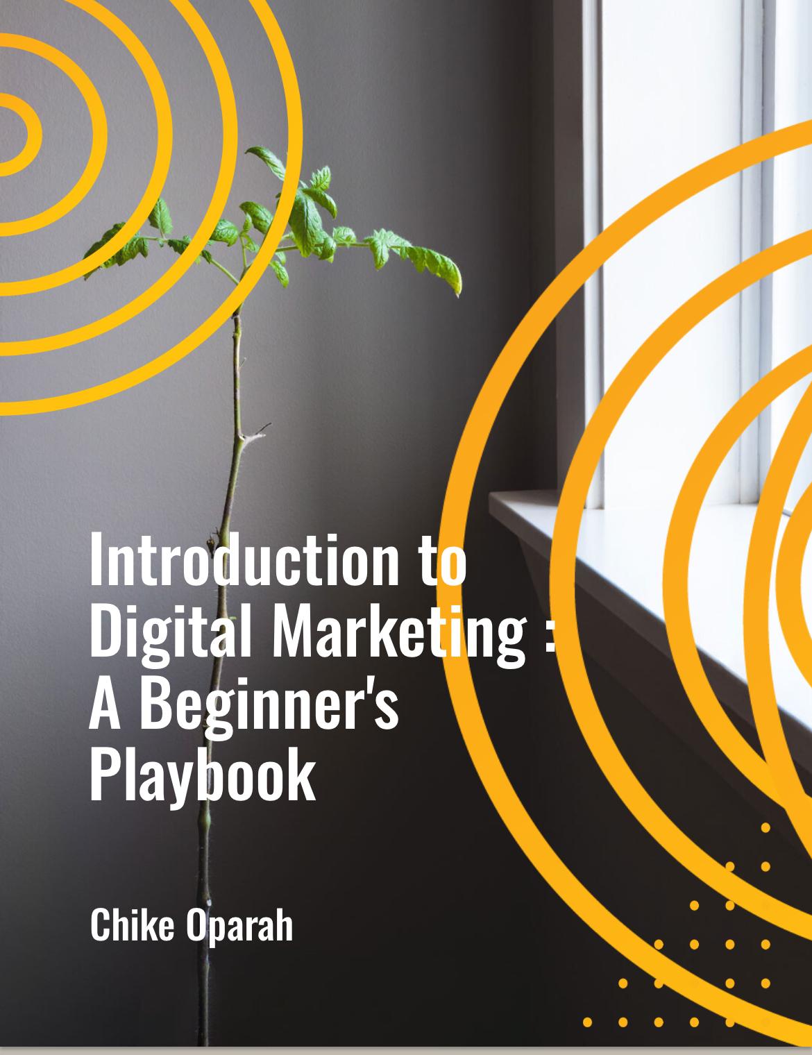 Buy Introduction to Digital Marketing : A Beginner's Playbook by Chike ...