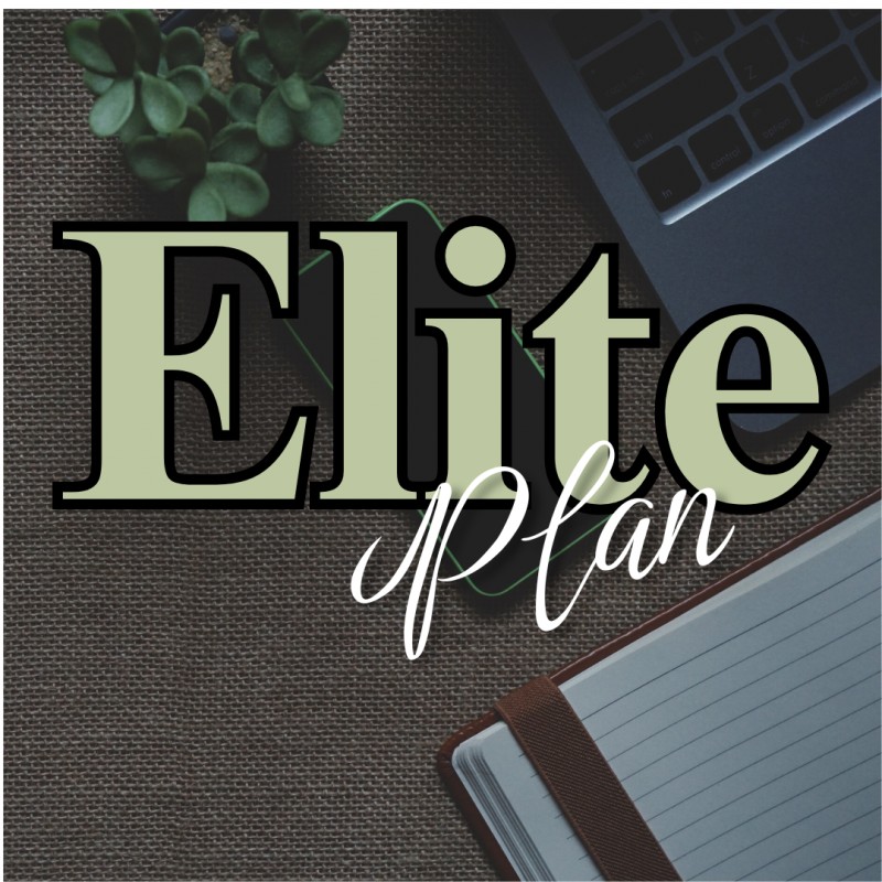 Subscribe Elite Management Plan by Vibe Major Media on Selar