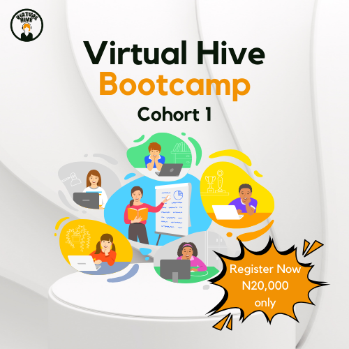 Buy Virtual Hive Bootcamp by Victory Aniekan on Selar