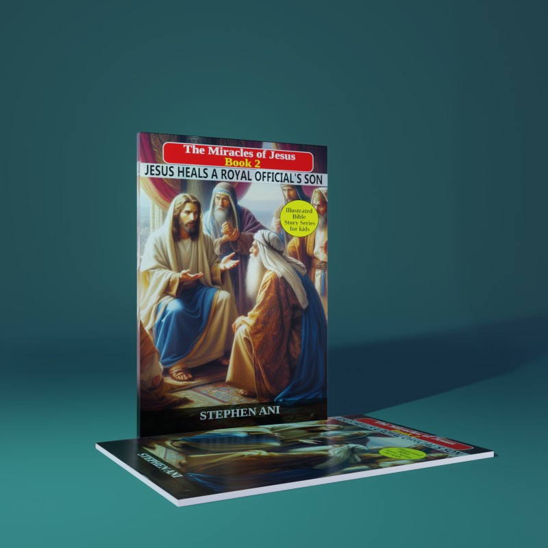 Buy The Miracles of Jesus Book 2: Jesus Heals a Royal Official's Son ...