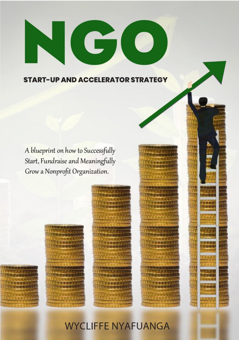 Buy NGO Start-Up and Accelerator Strategy by Wycliffe Nyafuanga on Selar
