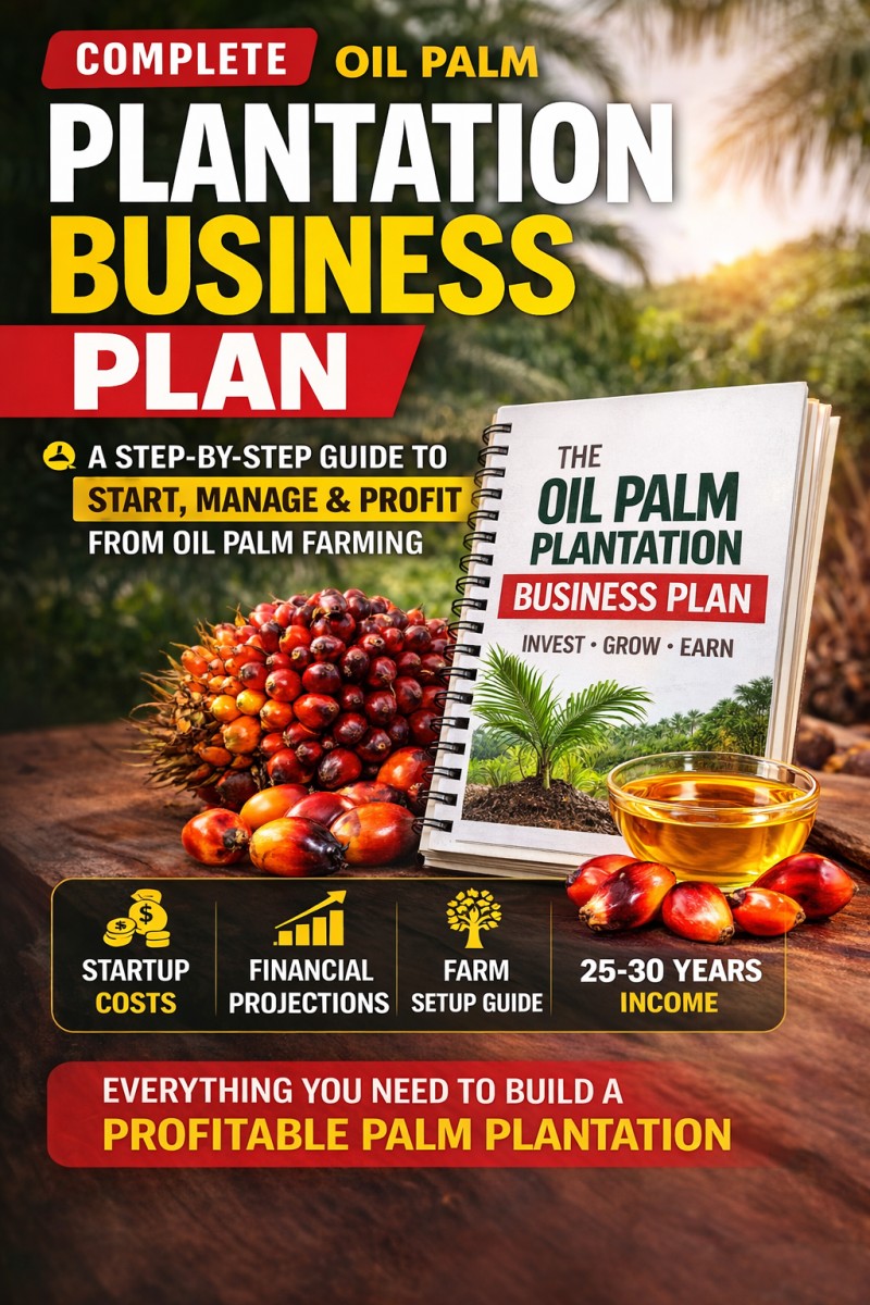 Buy Comprehensive Oil Palm Plantation Business Plan: 5-Years Financial ...