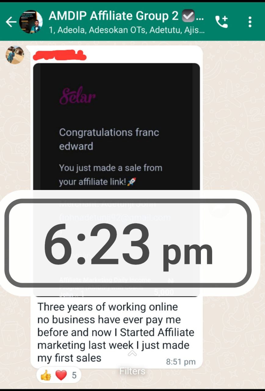 Buy Affiliate Marketing Daily Income Program (AMDIP) with Coach John by ...