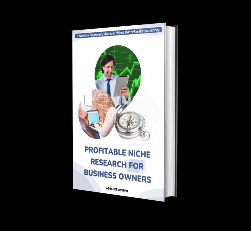 Buy PROFITABLE NICHE RESEARCH FOR BUSINESS OWNERS by Niche Guide on Selar