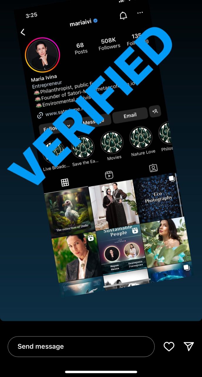 Buy FACEBOOK BLUETICK VERIFICATION by Akinola Gbenga Imole on Selar