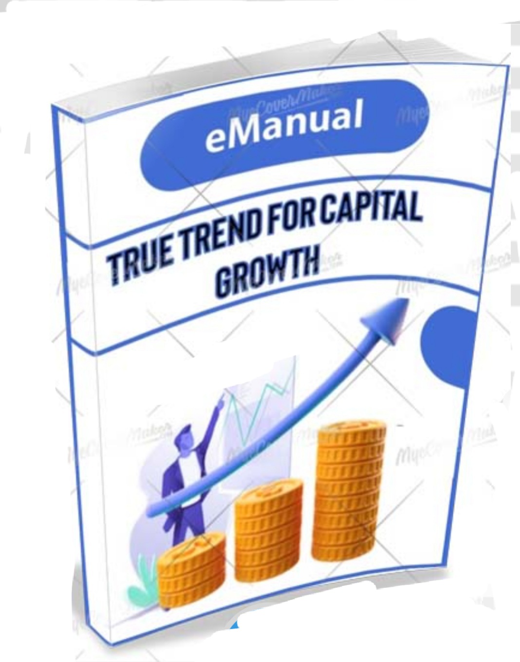 Buy True Trend eManual by DigitalAfrik on Selar