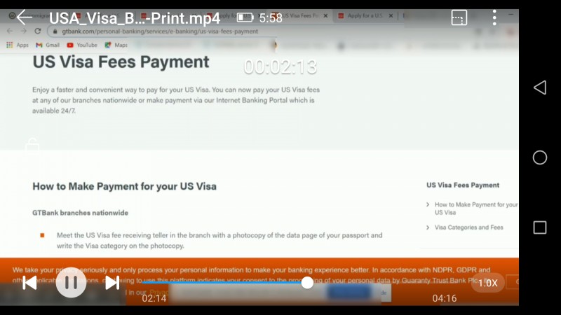 Buy USA Visa Blue Print copy by Blueprint Academy on Selar