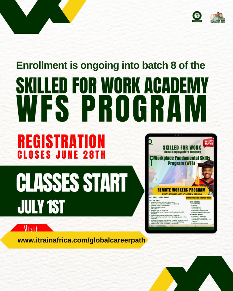 Buy Workplace Fundamental Skills (Remote Workers Program) by Aderinsola Adio-Adepoju on Selar