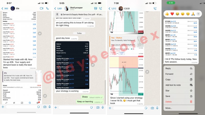 Buy Beginner To Advanced Forex Trading Mentorship by JAYBE FX on Selar