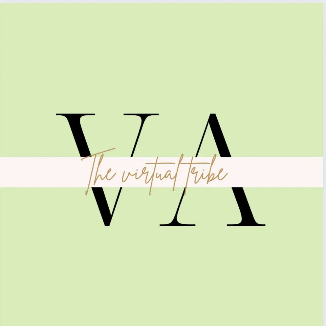 TheVirtualTribe Virtual Assistant Program | Selar